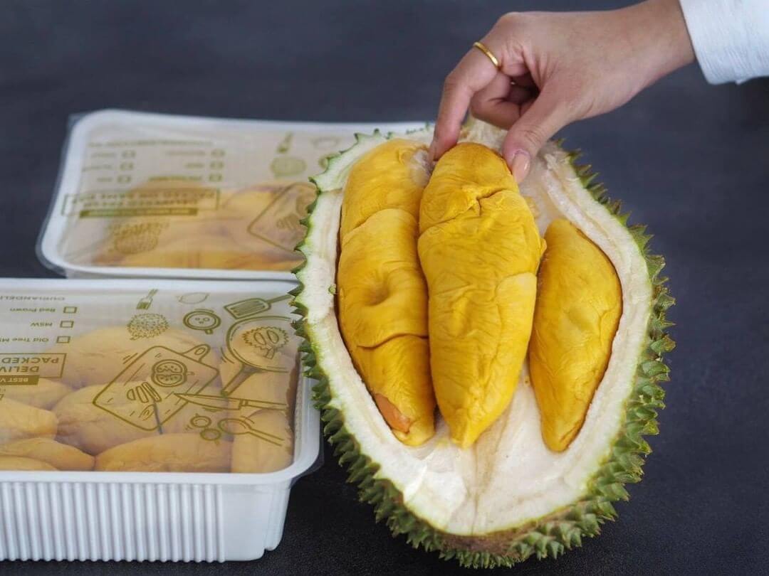 29 Best Durian Prices in Singapore 2024 | Compare Durian Prices Now