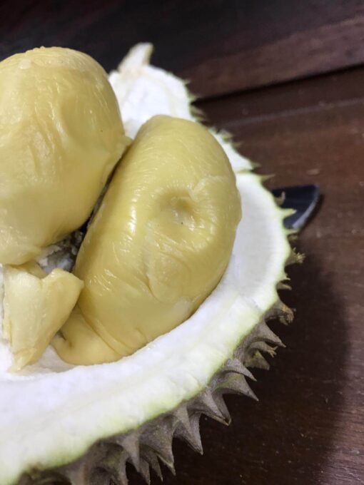 19 Types of Durian Singapore 2024 | Choose Your Favourite Durian Taste